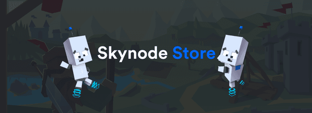 Skynode Store